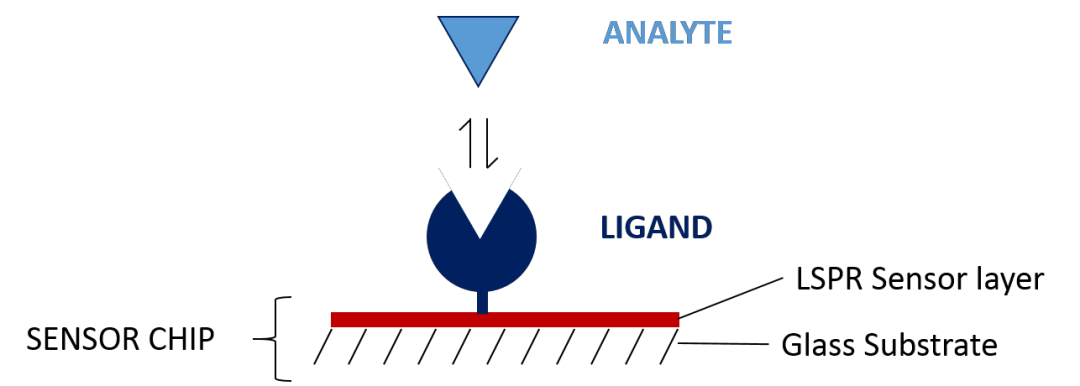 SPR Sensors Chips: A Guide for Modern Researchers