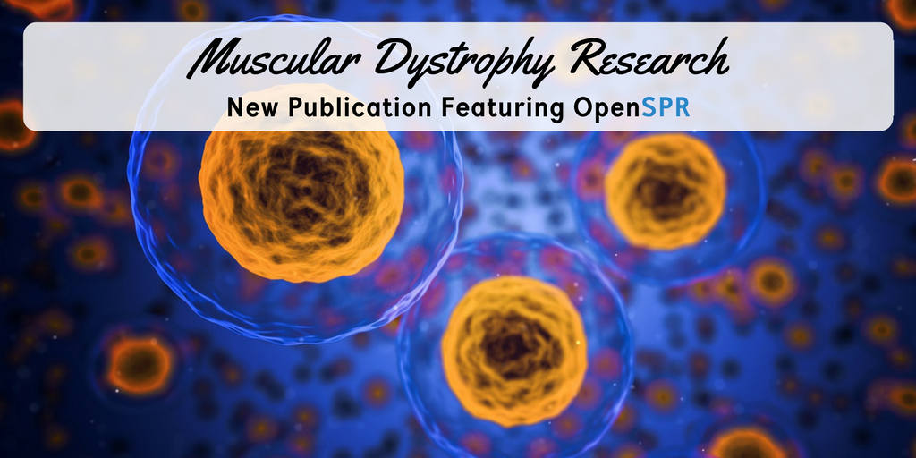 SPR Binding Data Advances Muscular Dystrophy Research