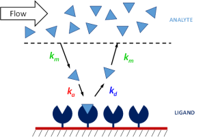 How Does SPR Work? - Nicoya - Improving Human Life by Helping ...