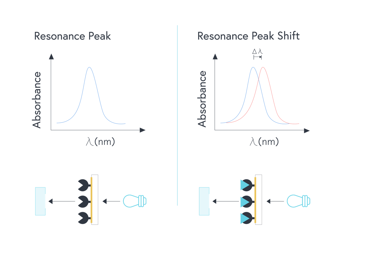 Surface Plasmon Resonance (SPR) vs. Surface Plasmon Resonance Imaging ...