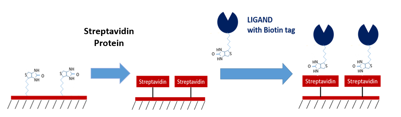 Surface Plasmon Resonance Sensors: A Guide for Scientists