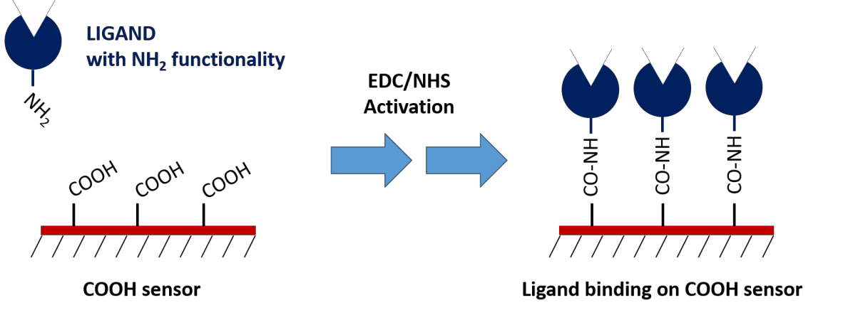 Surface Plasmon Resonance Sensors: A Guide for Scientists