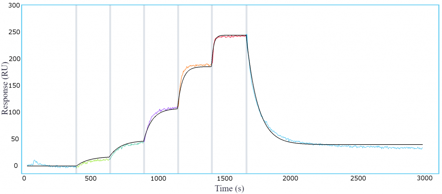 SPR applications in early drug discovery | Alto™ Digital SPR