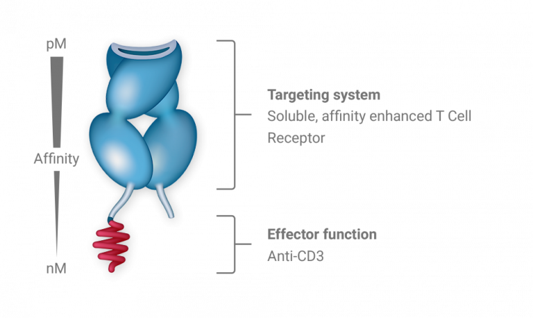 SPR Application Note | Characterization of Bispecific Molecules with SPR
