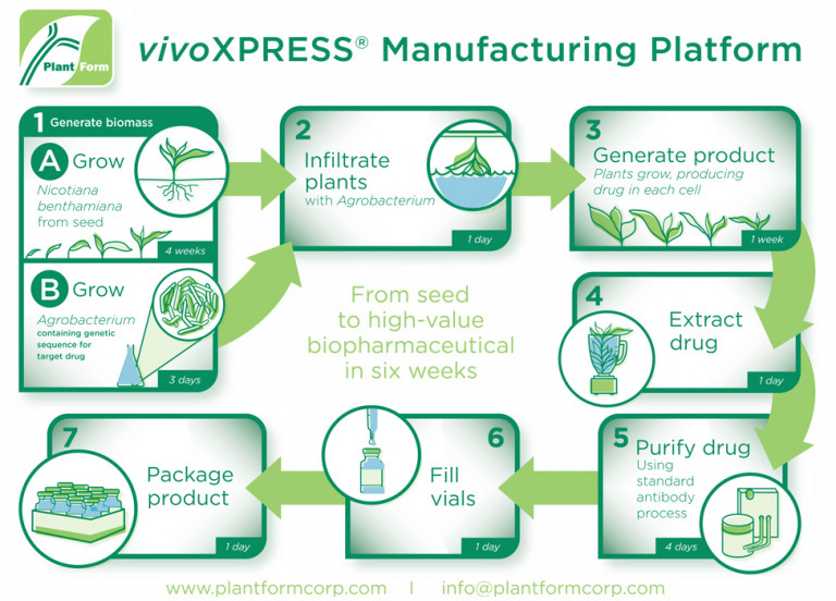 Characterization of biosimilars with SPR