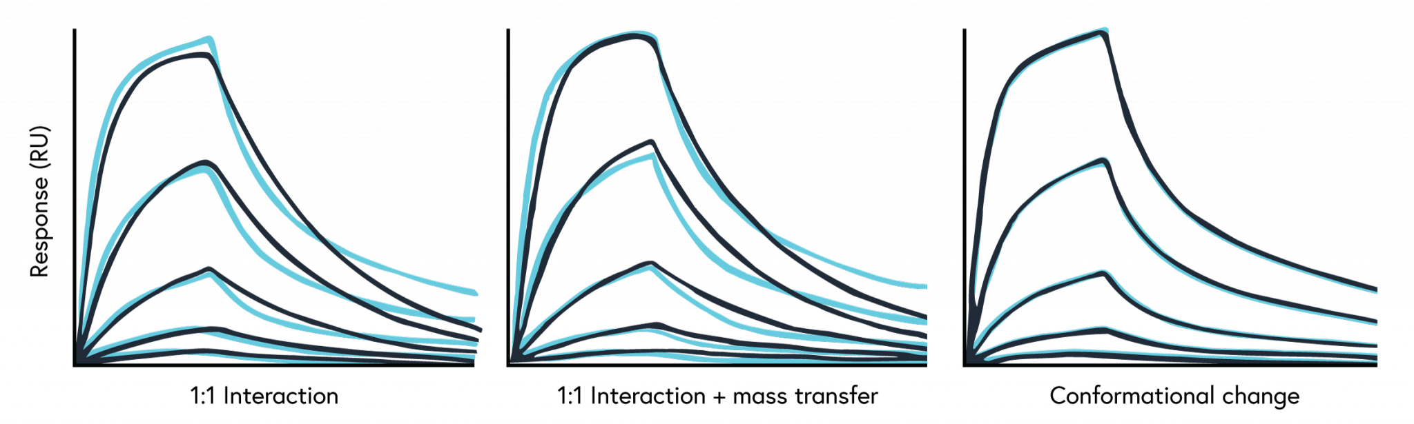 Top 10 tips for high quality SPR data | SPR Guide