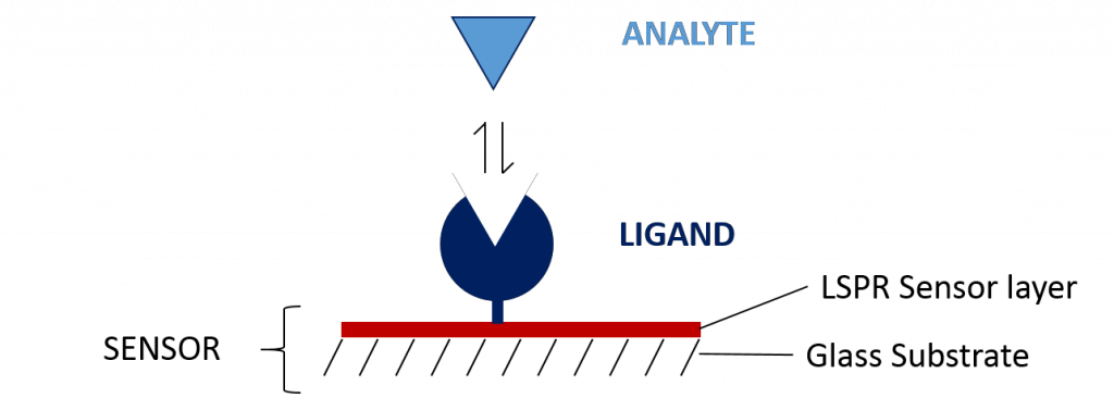Top 10 tips for high quality SPR data | SPR Guide