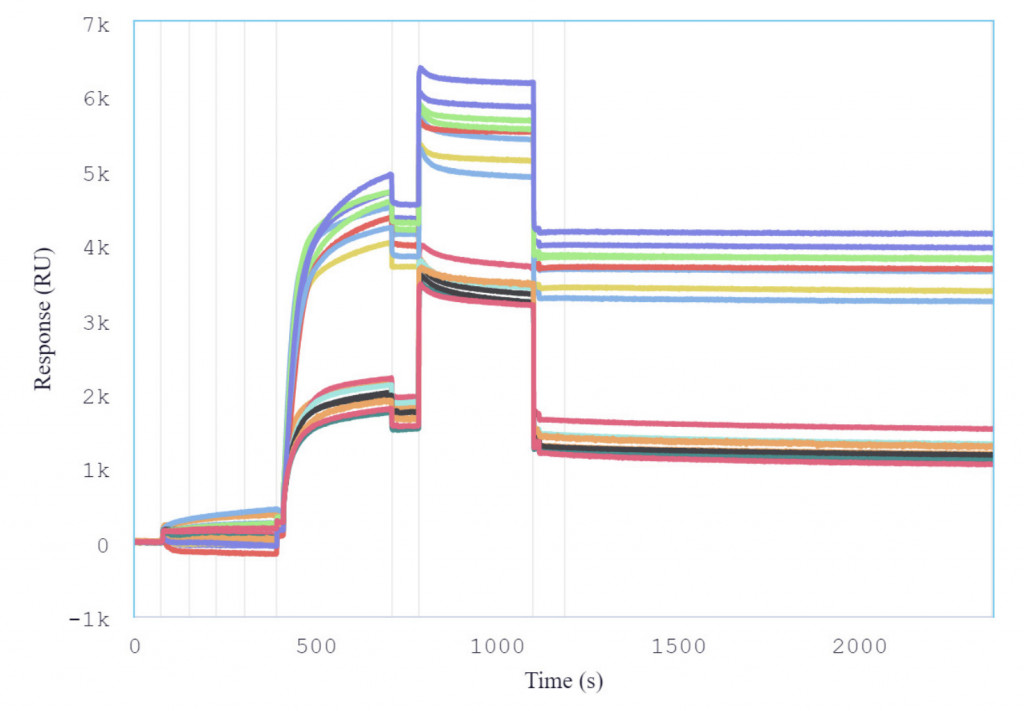 Quantifying monoclonal antibodies in serum with Alto™ Digital SPR ...