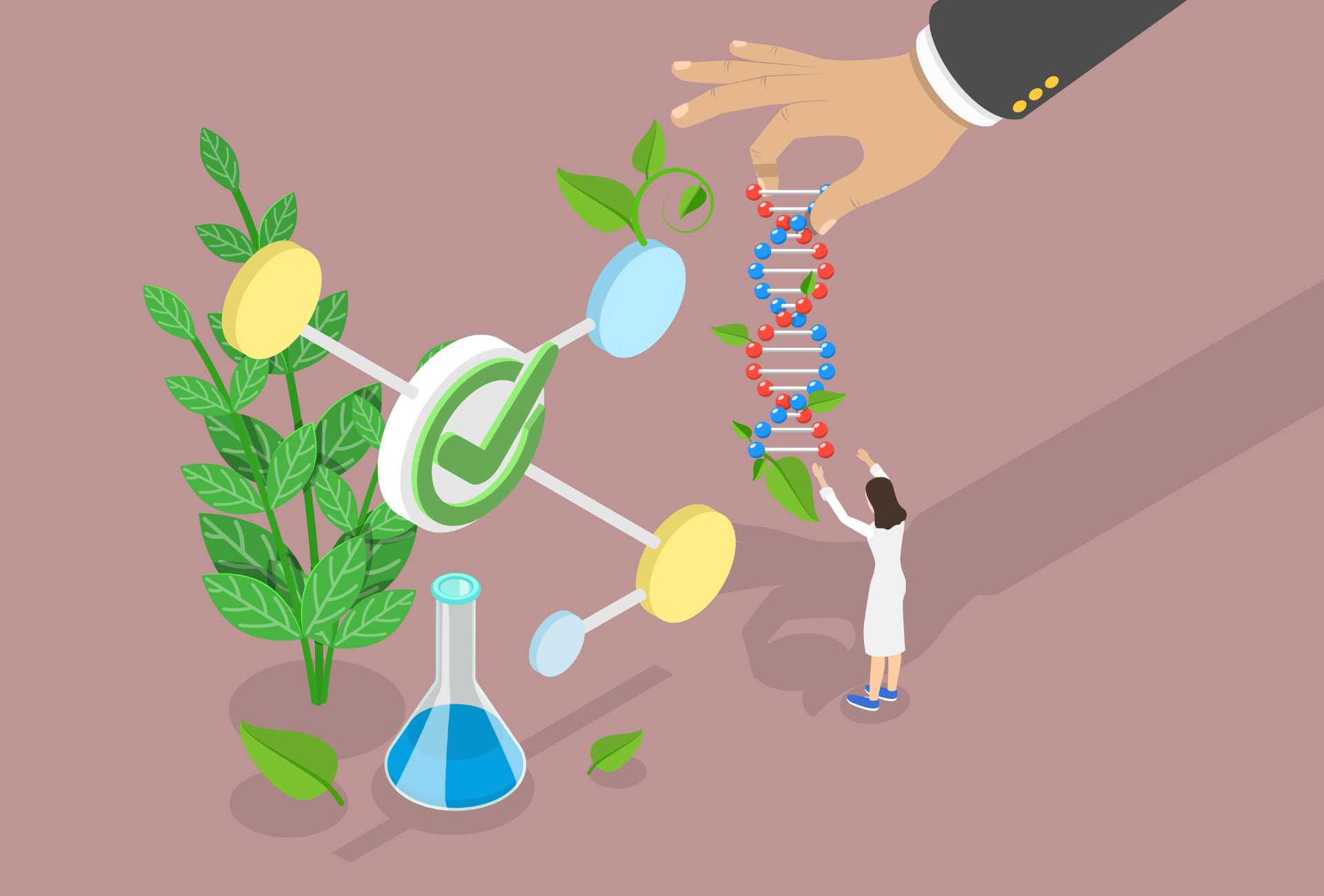 Characterization of biosimilars with SPR